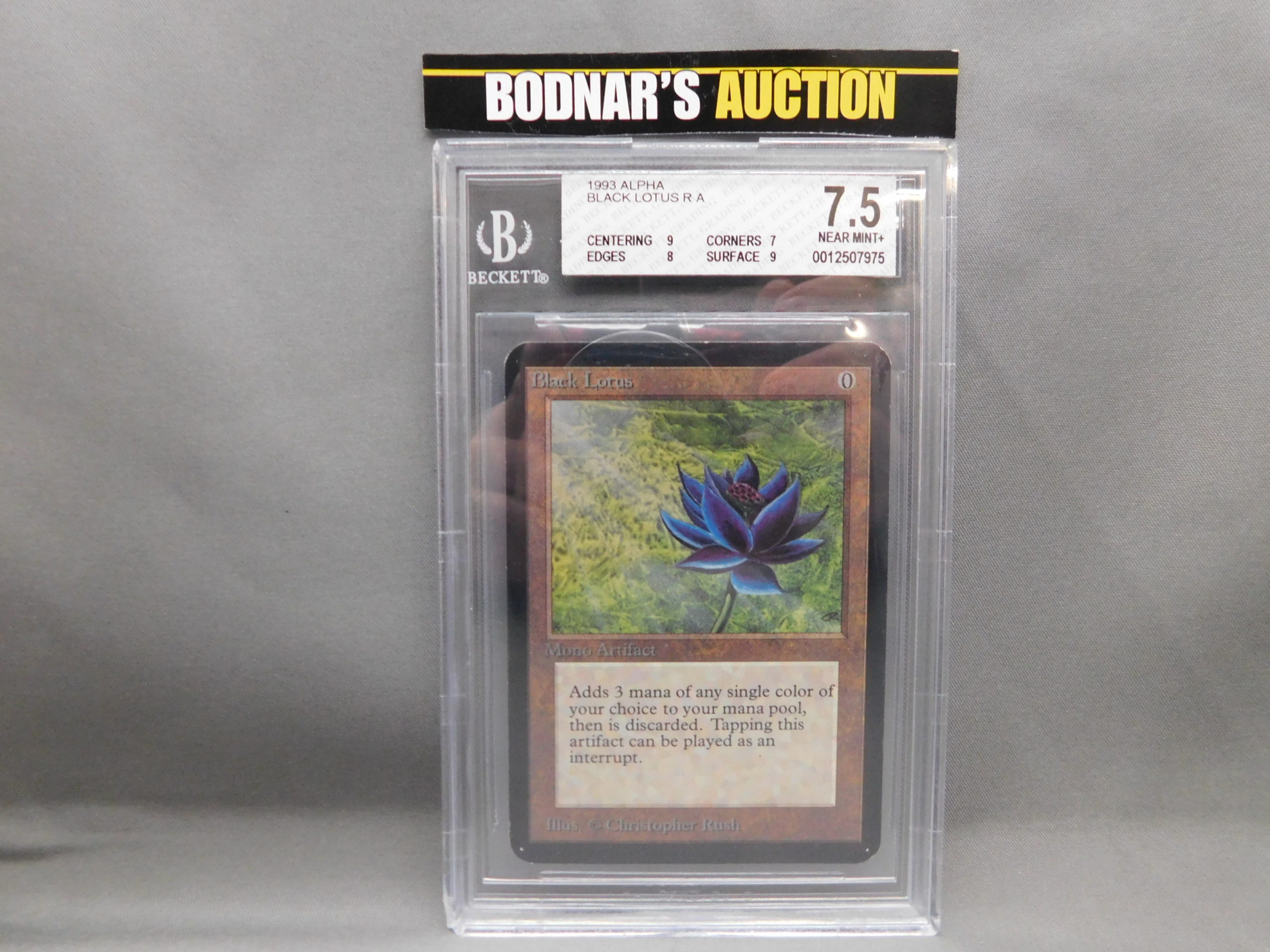 Magic the Gathering Collection Sells for over $600,000.00 at Bodnar’s ...